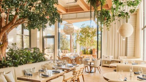 California Cuisine | Summer House | Durango Resort